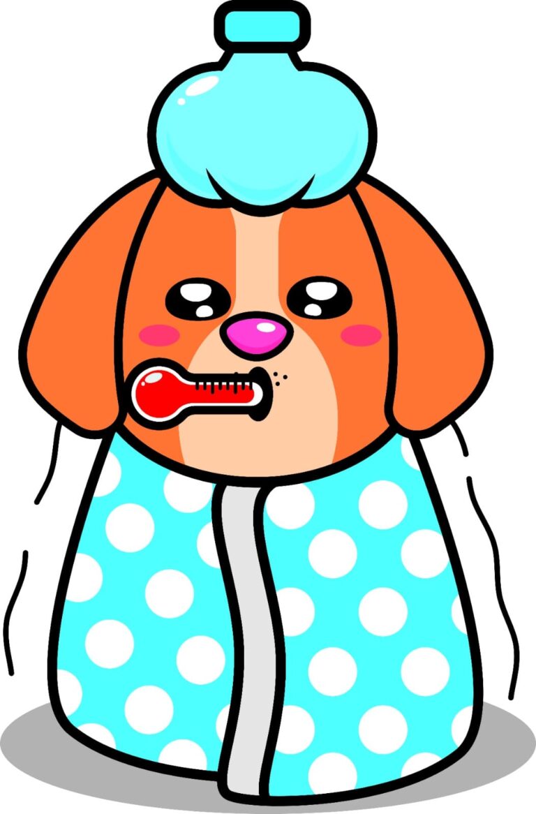 Moquillo en perros: Prevención, diagnóstico y cuidados - Pet Family