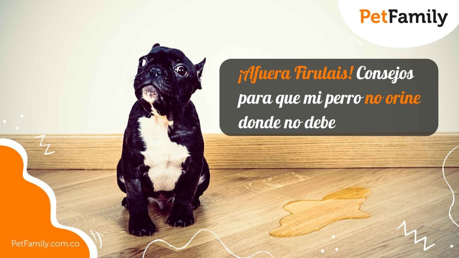 ¡Afuera Firulais! Consejos para que mi perro no orine donde no debe