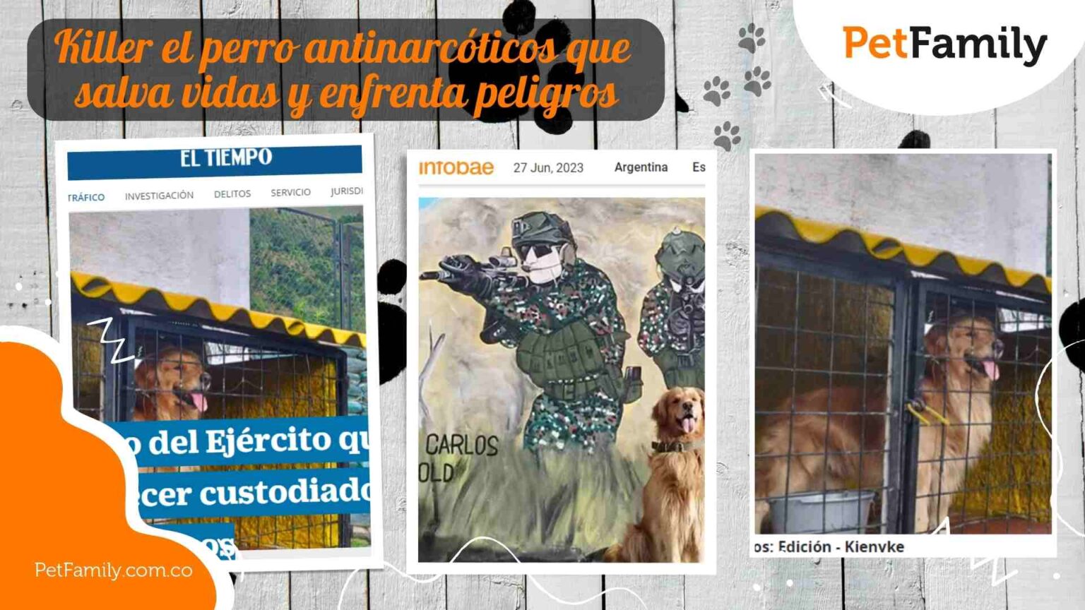 Killer el perro antinarcóticos que salva vidas y enfrenta peligros ...