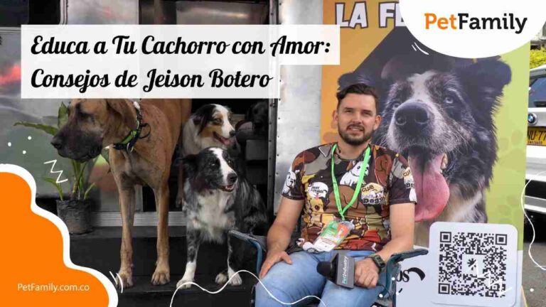 Educa a tu cachorro con amor: consejos de Jeison Botero, el profe de ...