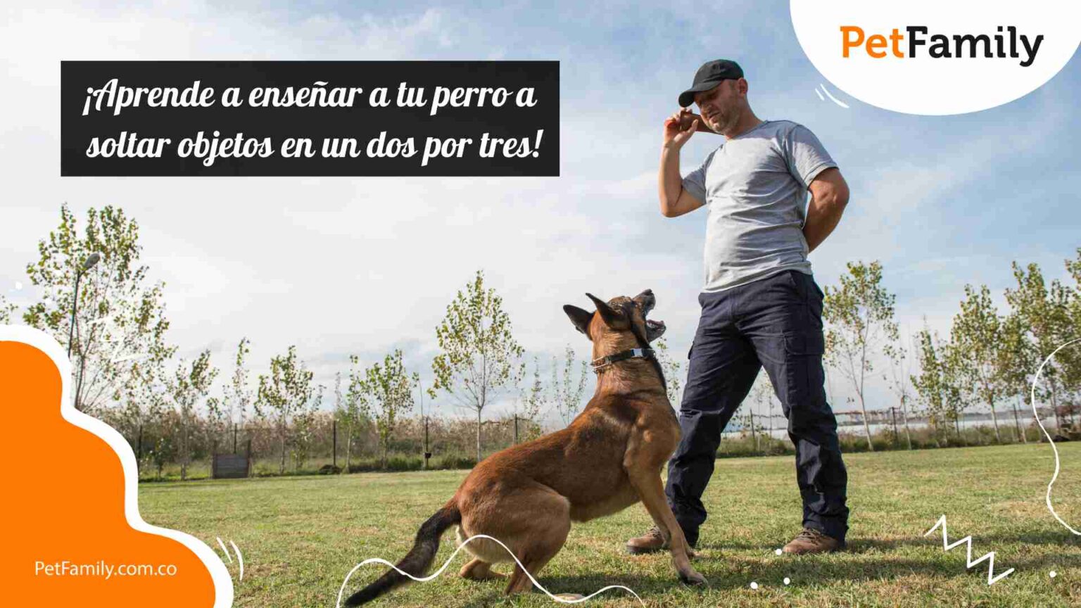 ¡Aprende a enseñar a tu perro a soltar objetos en un dos por tres ...