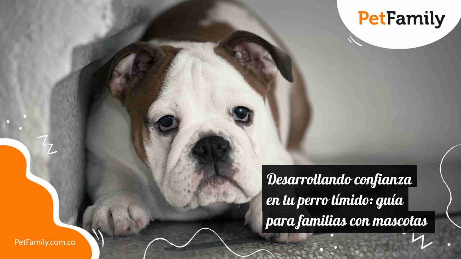 Desarrollando confianza en tu perro tímido: guía para familias con ...