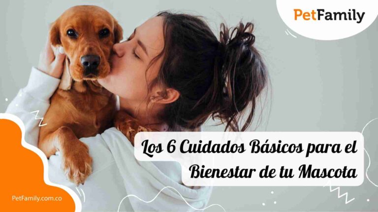 Los 6 Cuidados Básicos para el Bienestar de tu Mascota - Pet Family