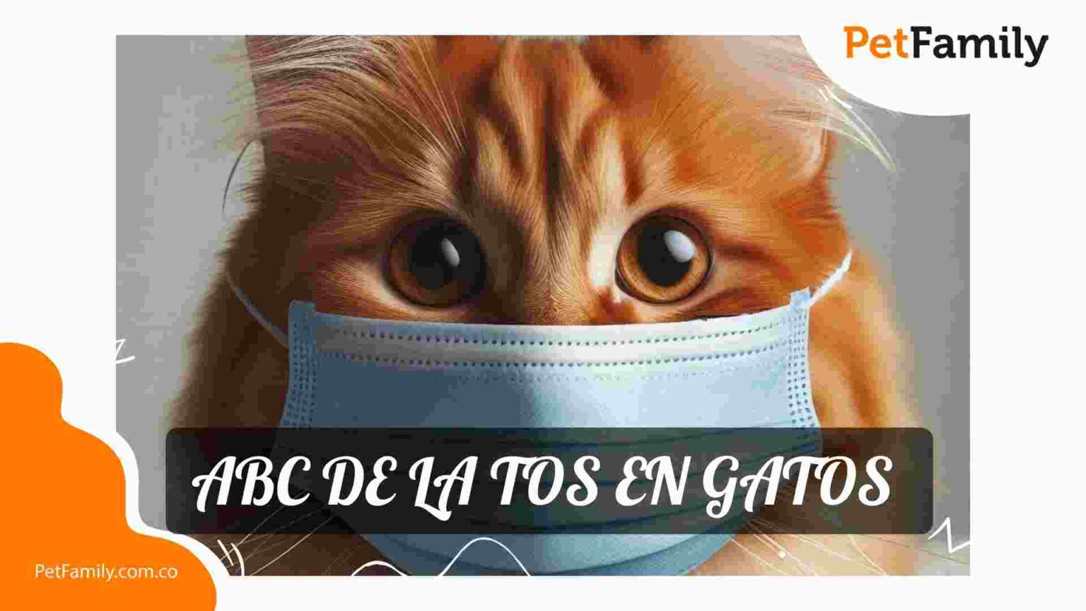 ABC DE LA TOS EN GATOS - Pet Family