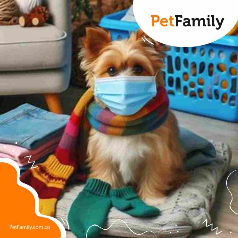 ABC DE LA TOS EN PERROS - Pet Family