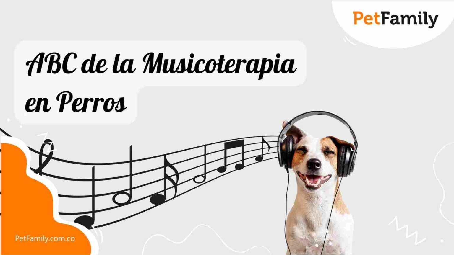 ABC de la Musicoterapia en Perros - Pet Family