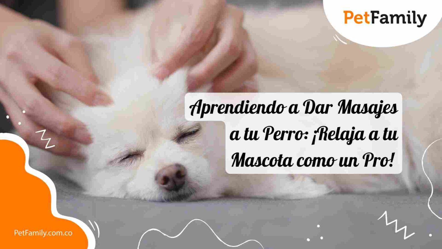 Masajes a tu Perro: ¡Relaja a tu Mascota como un Pro! - Pet Family